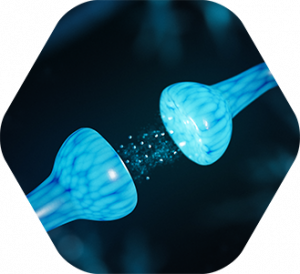 Therapy | e-motion wellness™